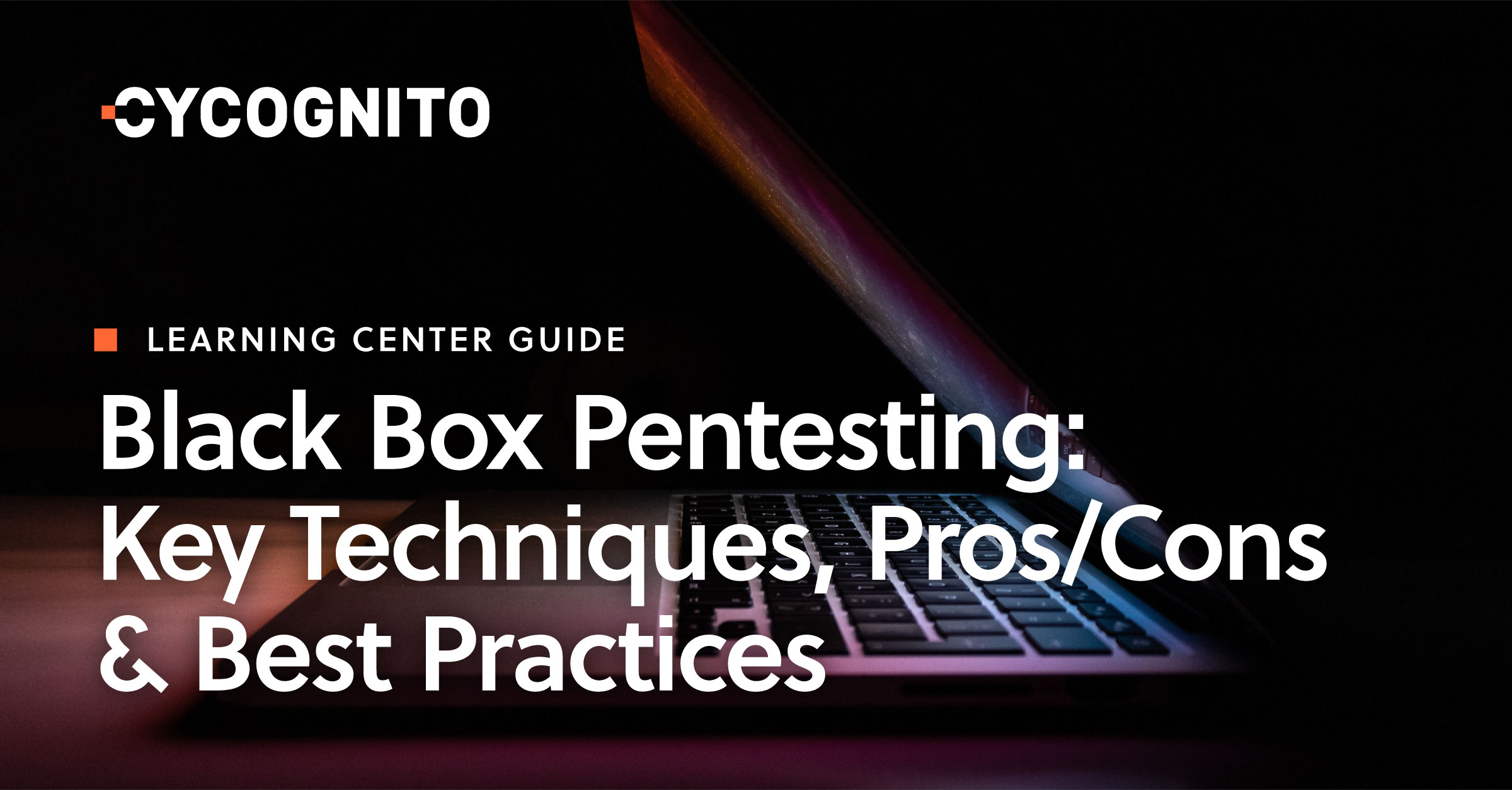 Black Box Pentesting: Key Techniques, Pros/Cons & Best Practices ...