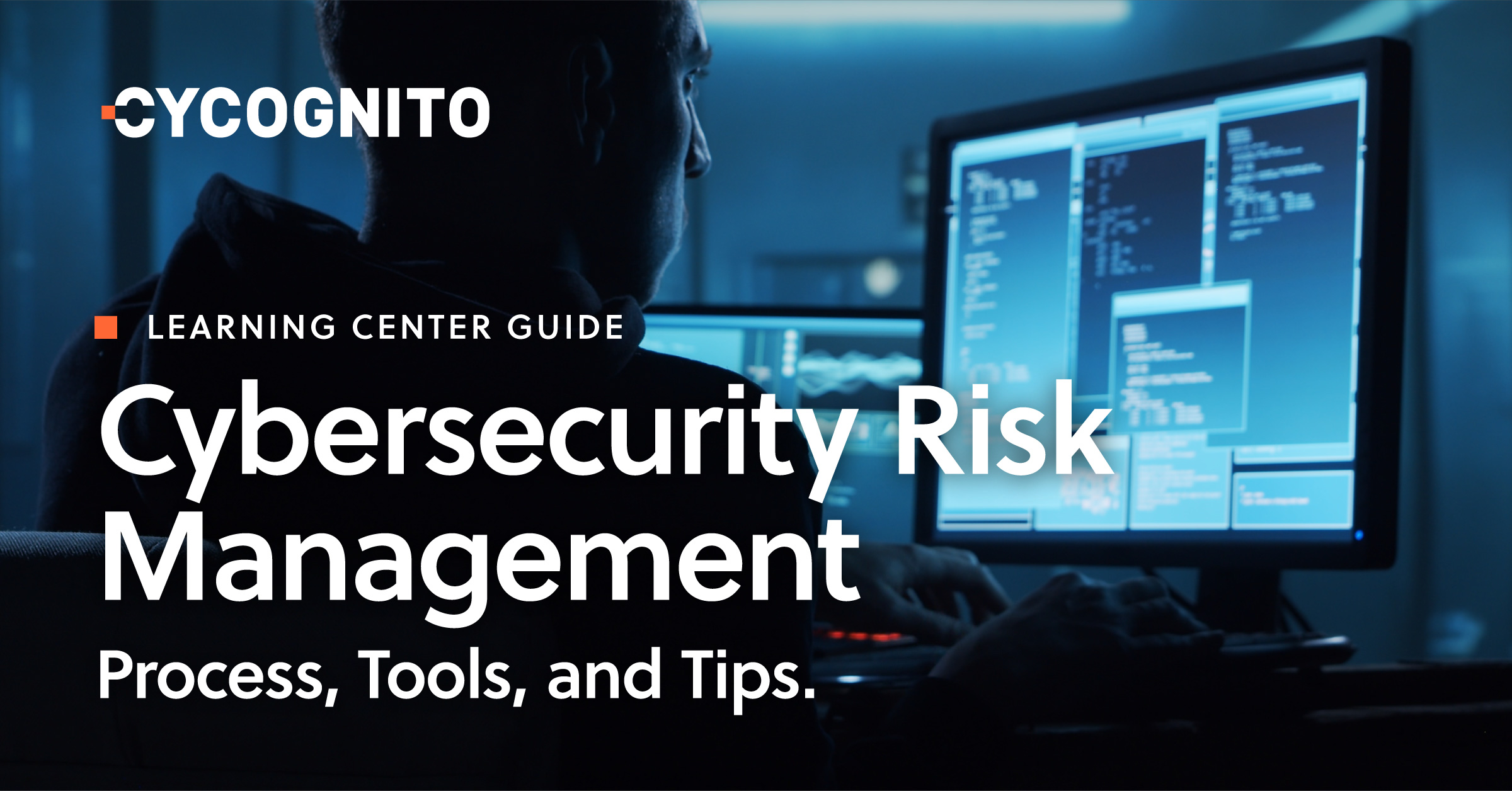 Cybersecurity Risk Management: Process, Frameworks & Tips | CyCognito