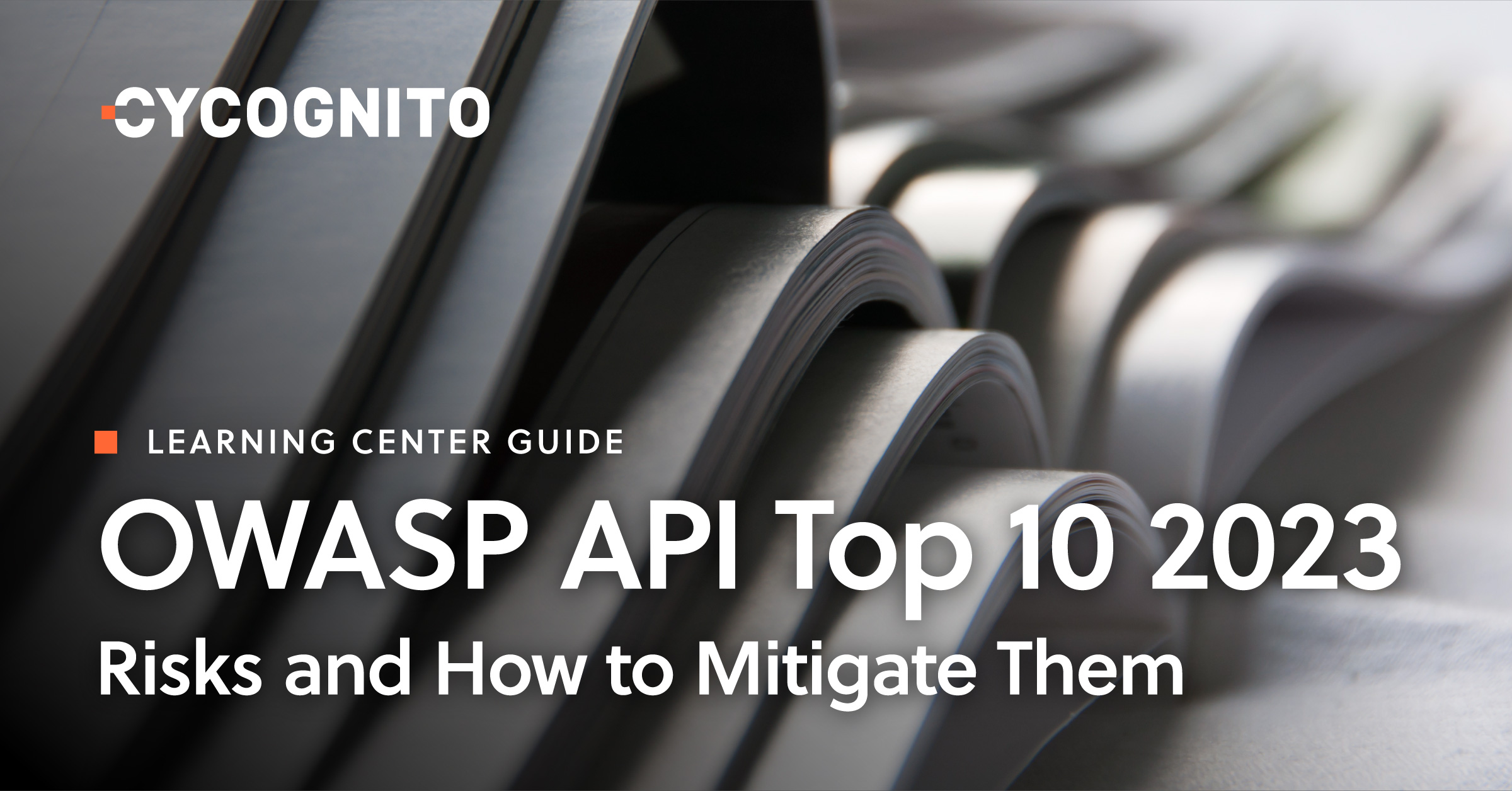 OWASP API Top 10 2023: Risks and How to Mitigate Them | CyCognito