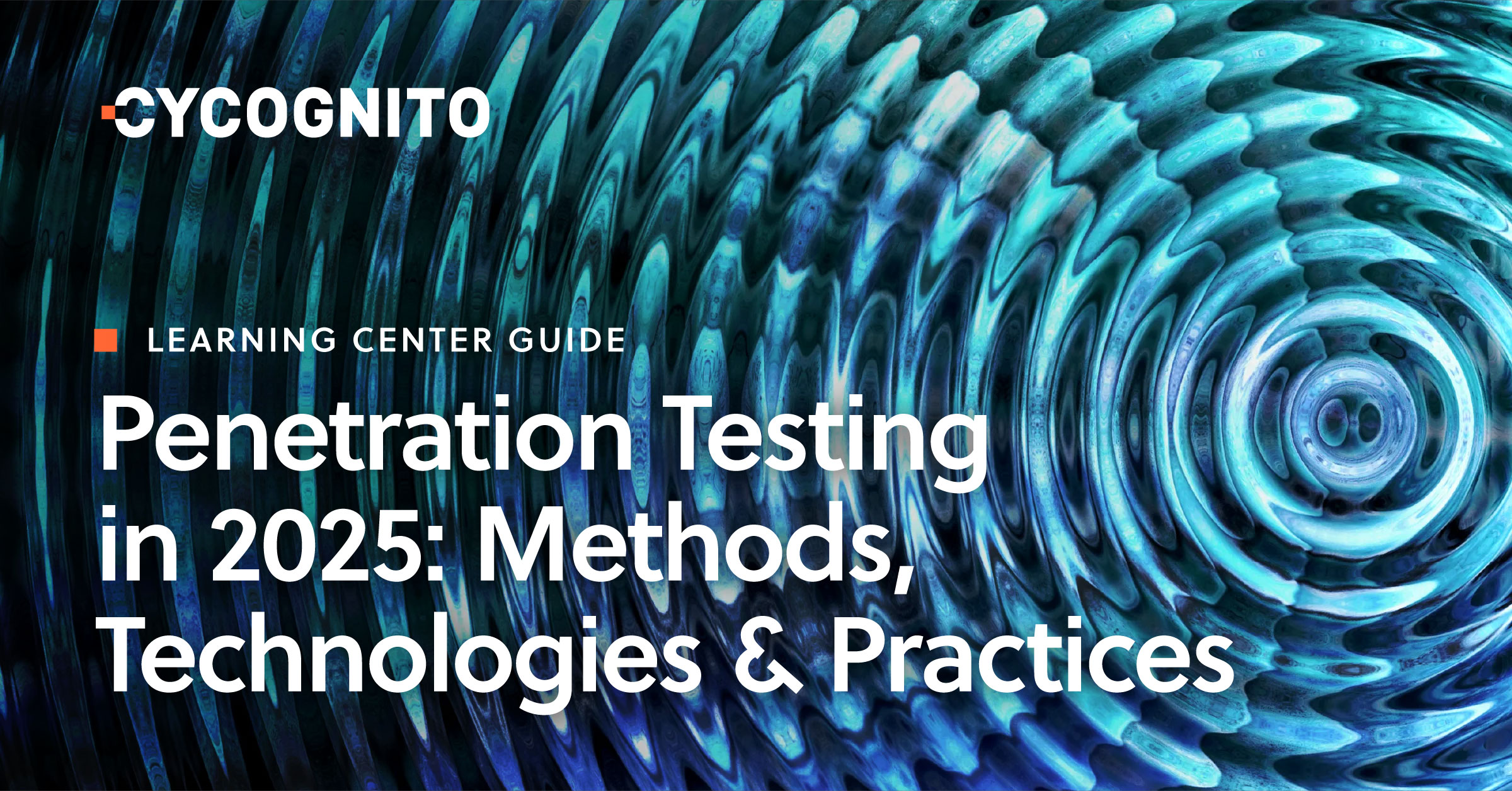 Penetration Testing in 2025: Methods, Technologies & Practices | CyCognito