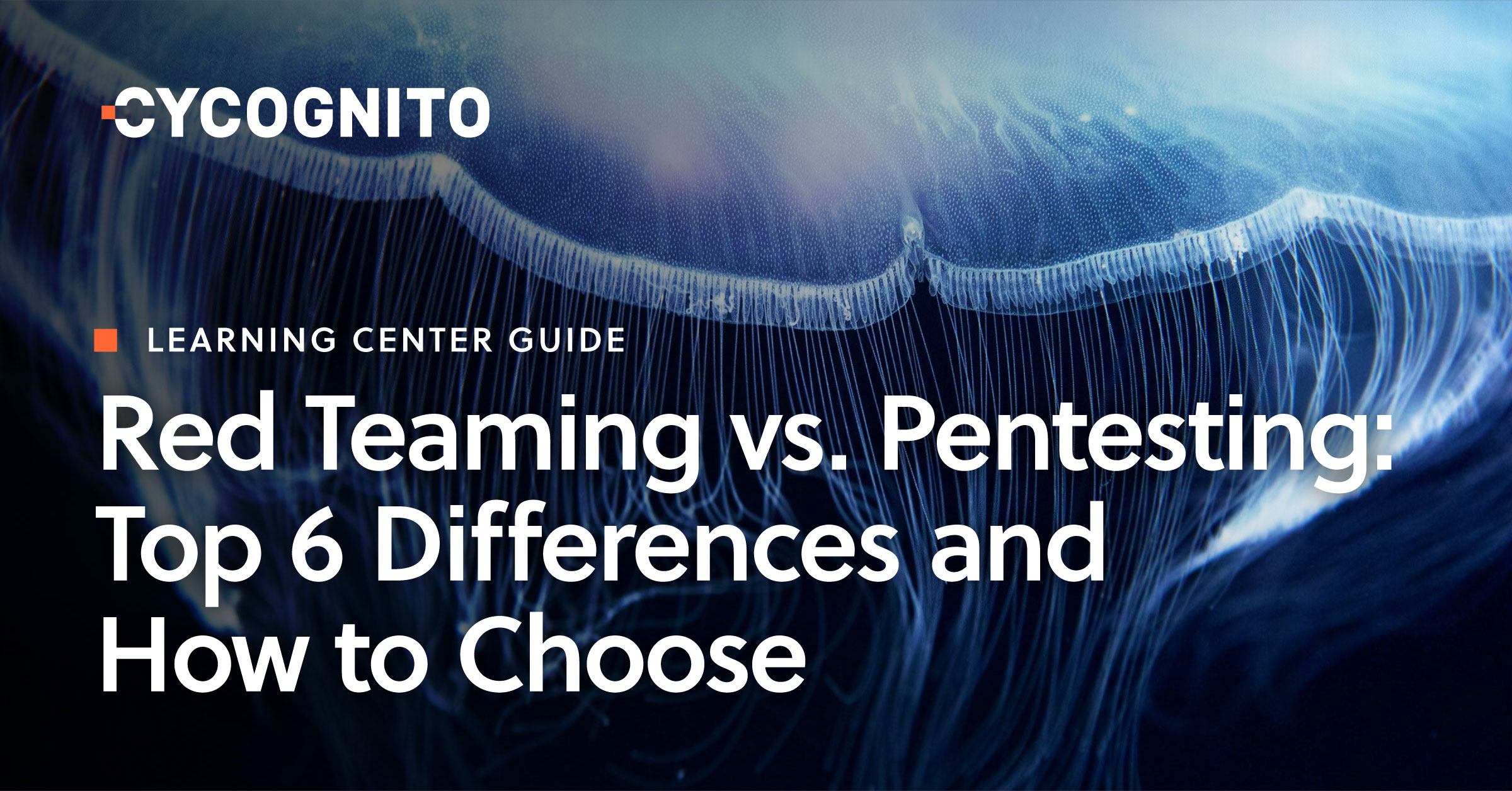 Red Teaming vs. Pentesting: Top 6 Differences and How to Choose | CyCognito