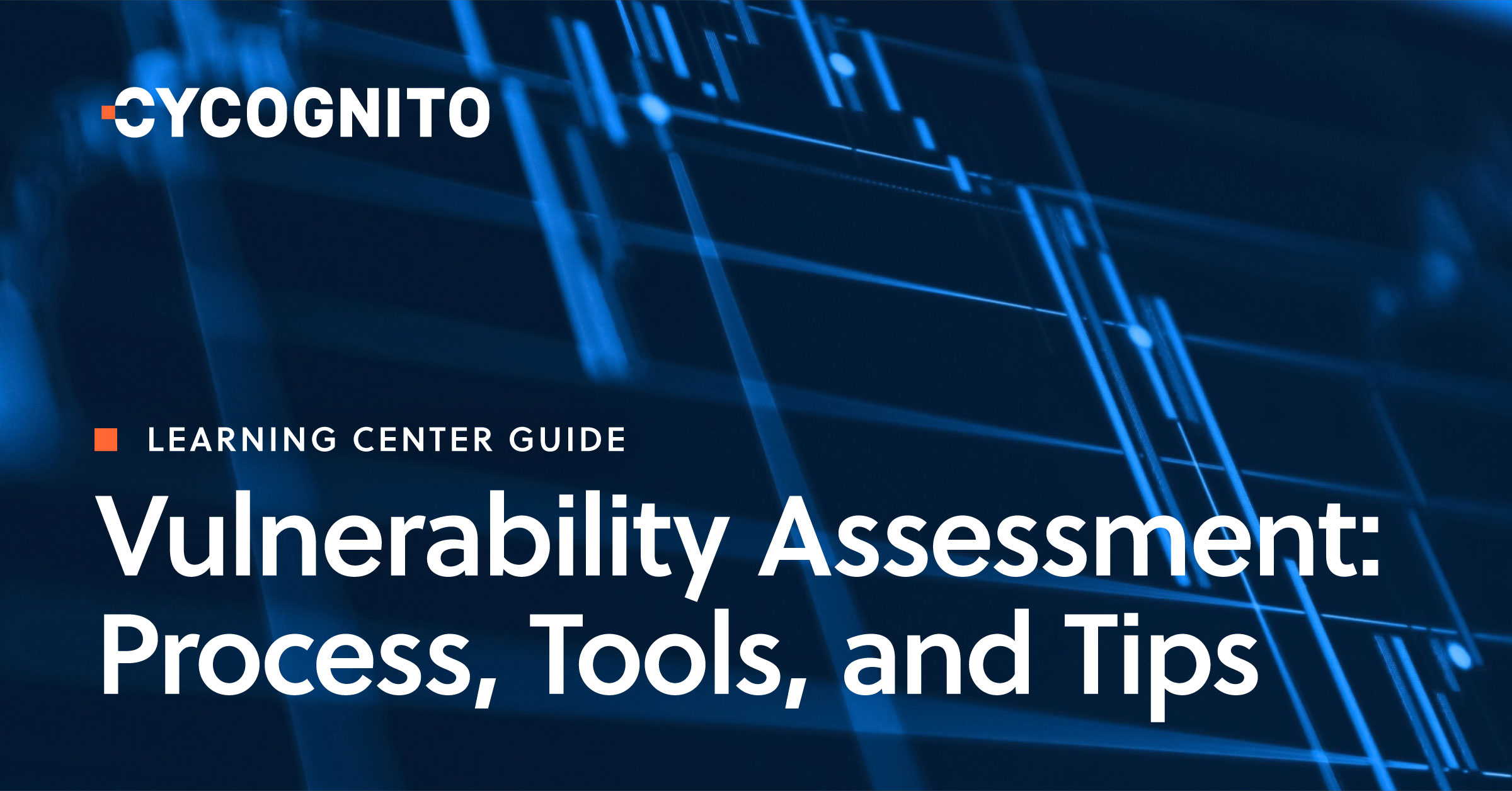 Vulnerability Assessment: Process, Challenges & Best Practices | CyCognito