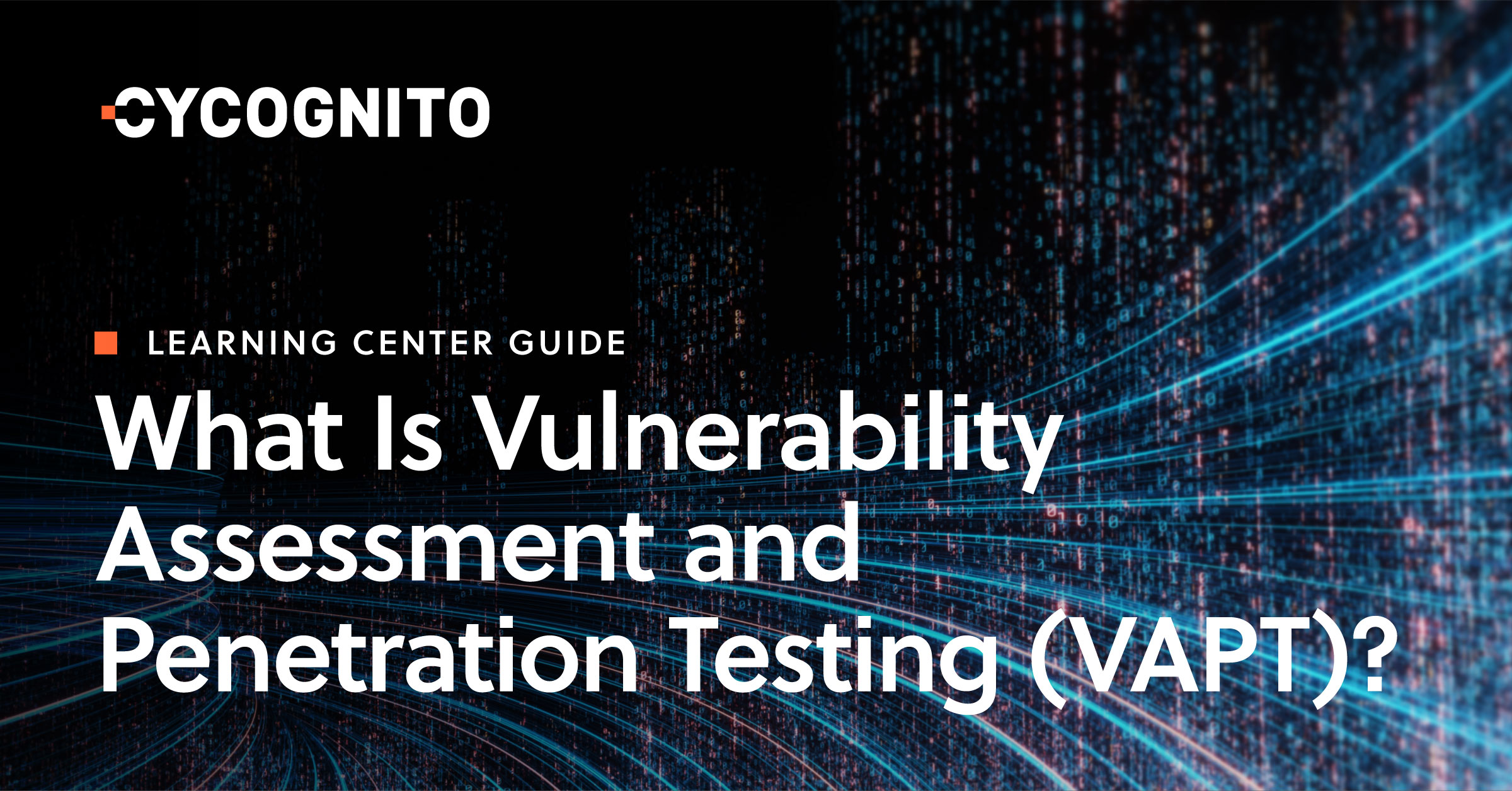 What Is Vulnerability Assessment and Penetration Testing (VAPT ...