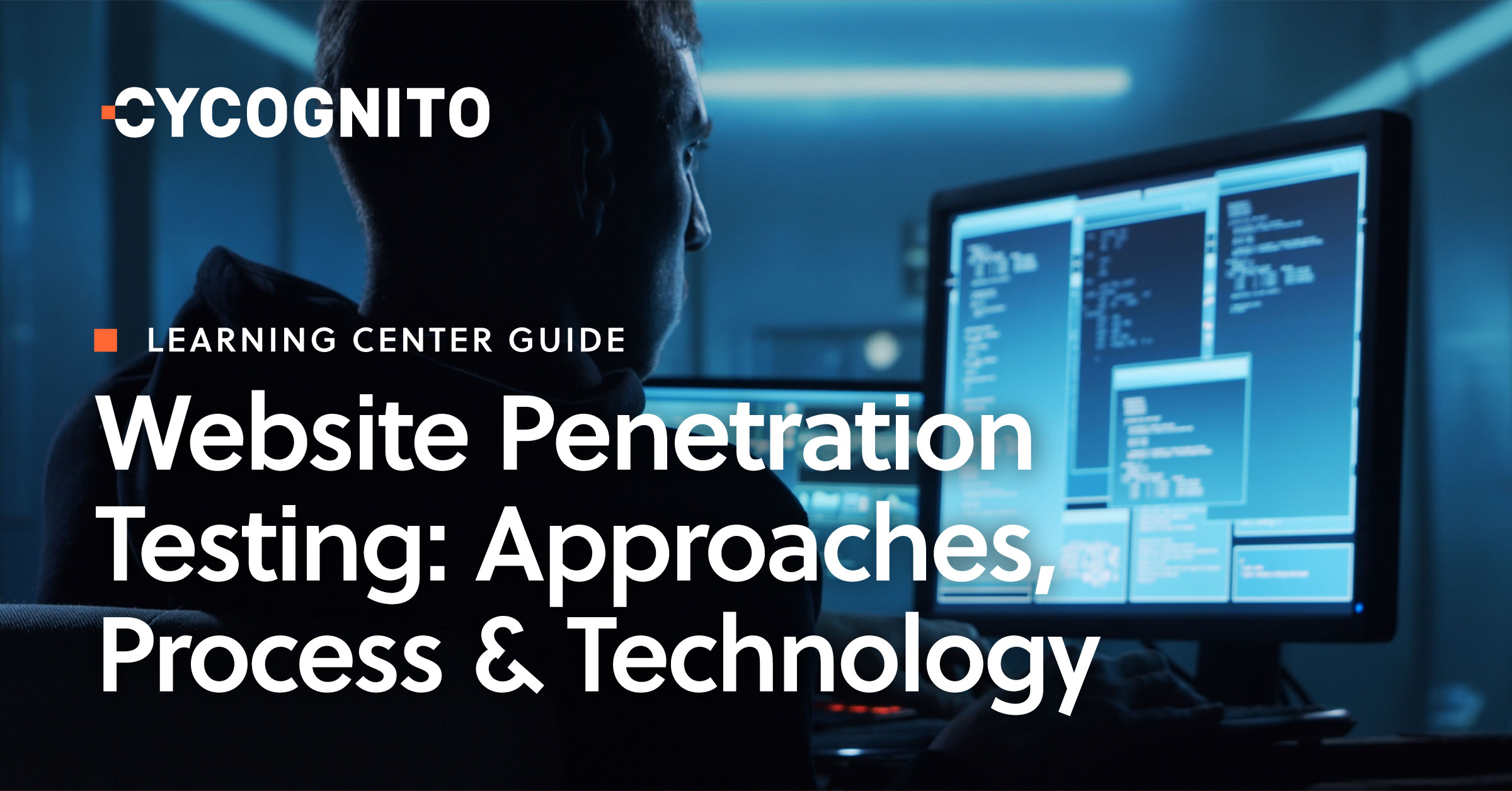 Website Penetration Testing: Approaches, Process & Technology | CyCognito Website Penetration Testing: Approaches, Process & Technology | CyCognito