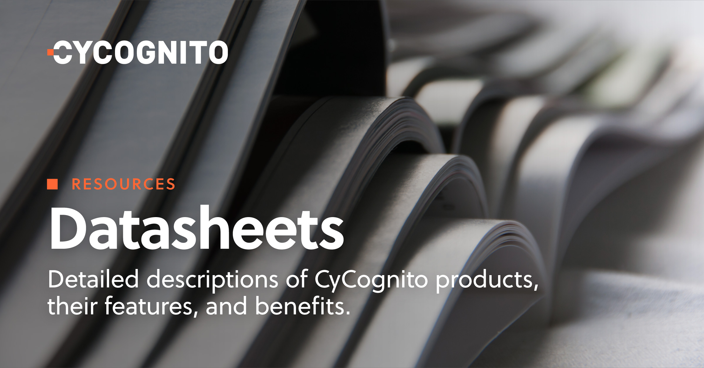 Datasheets | CyCognito