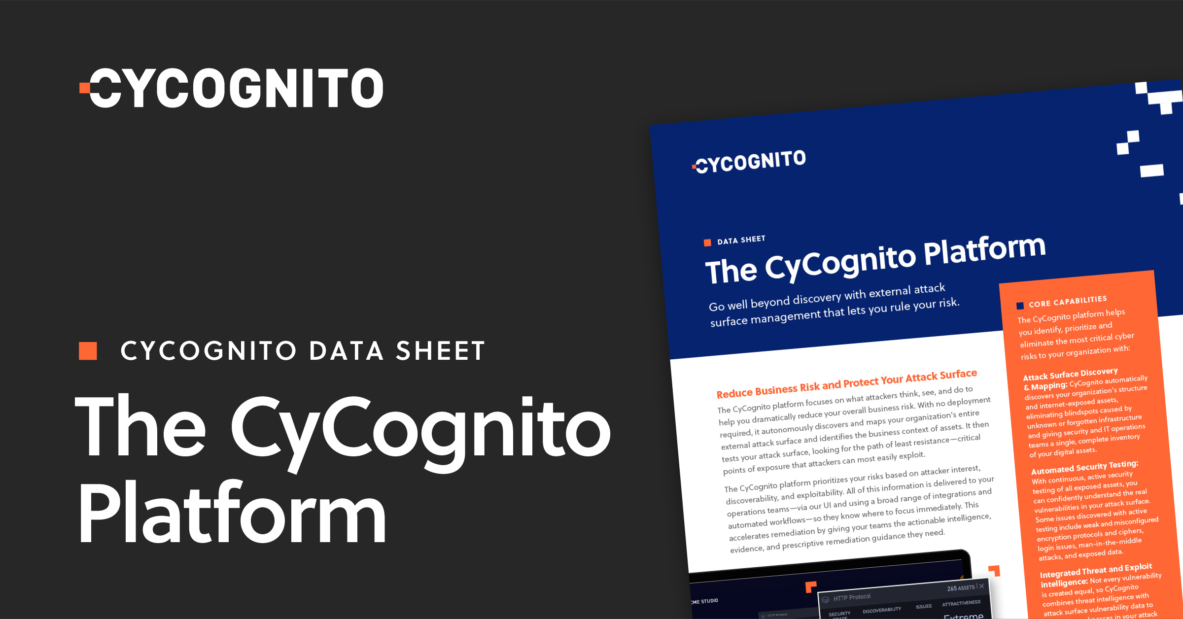 The CyCognito Platform | CyCognito