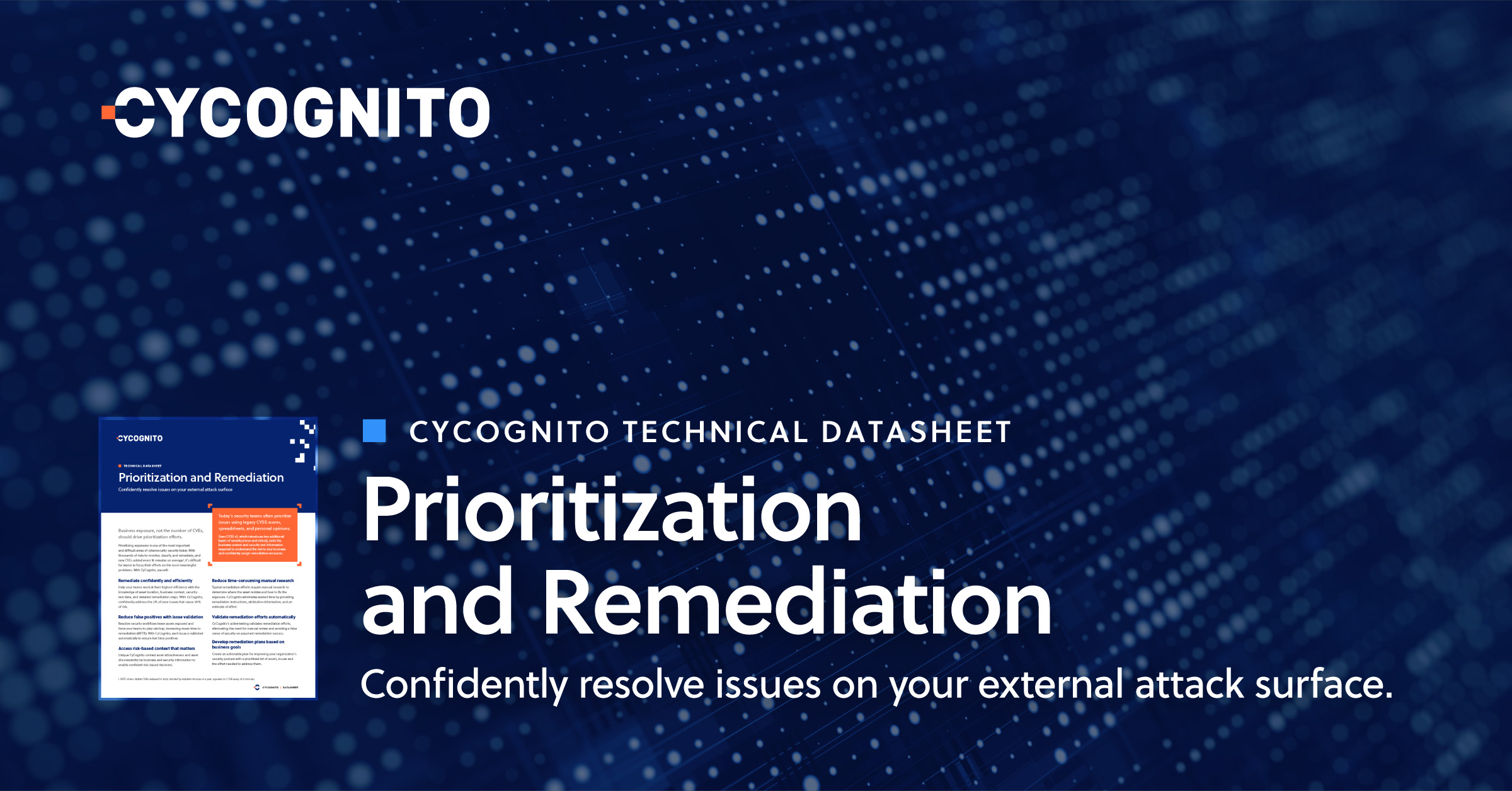 Prioritization and Remediation | CyCognito
