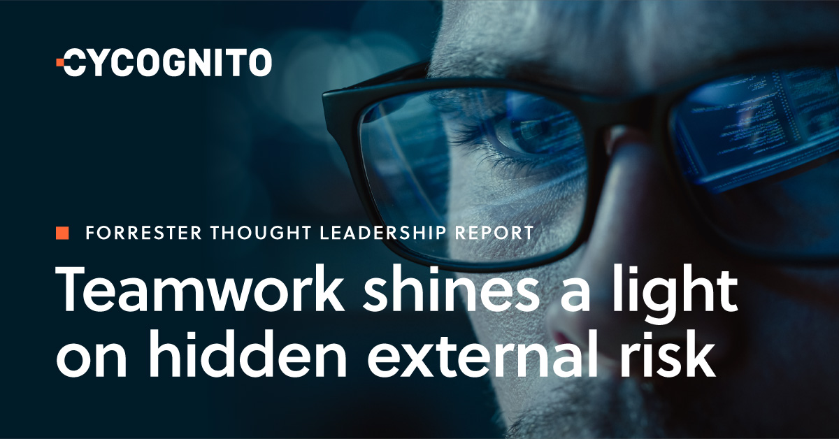 Teamwork Shines A Light On Hidden External Risk | CyCognito Teamwork Shines A Light On Hidden External Risk | CyCognito