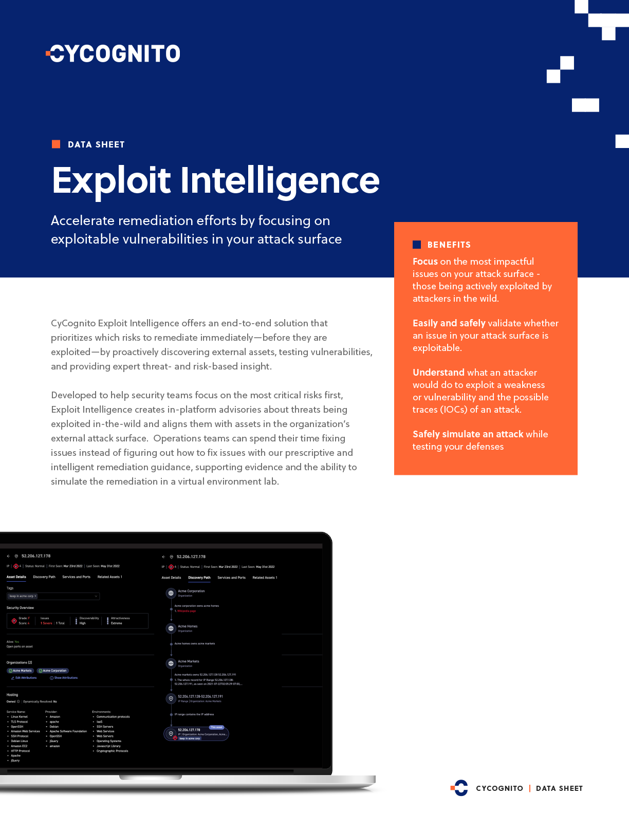 Datasheets | CyCognito
